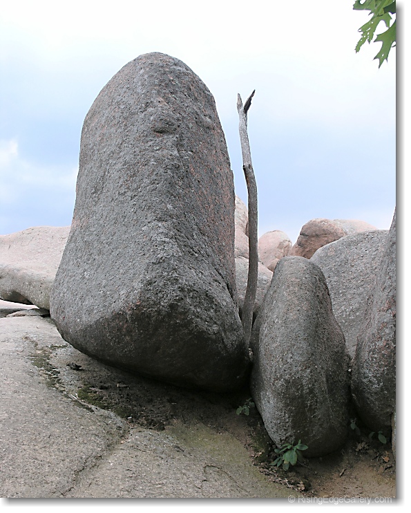 Full Screen - Alien Seed Pod